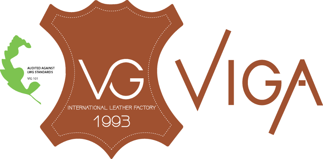 Viga Logo